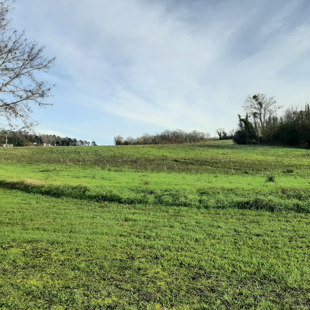 Programmes Archive - Terres à maisons