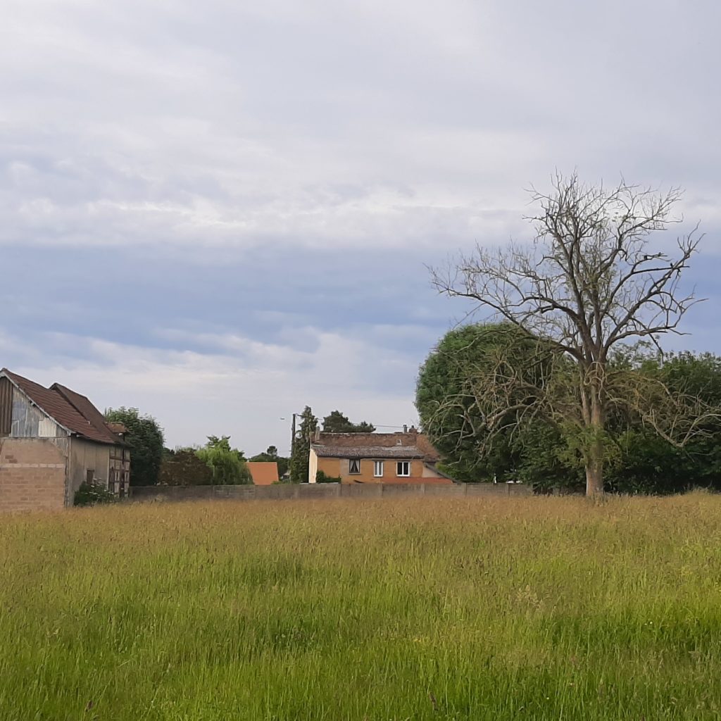 Programmes Archive - Terres à maisons